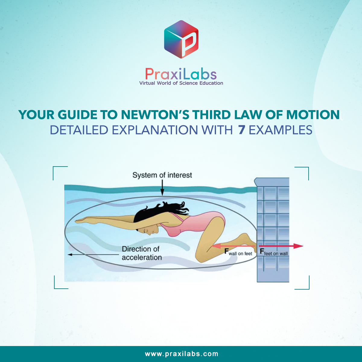 Newton s Third Law Fully Explained With Examples praxilabs
